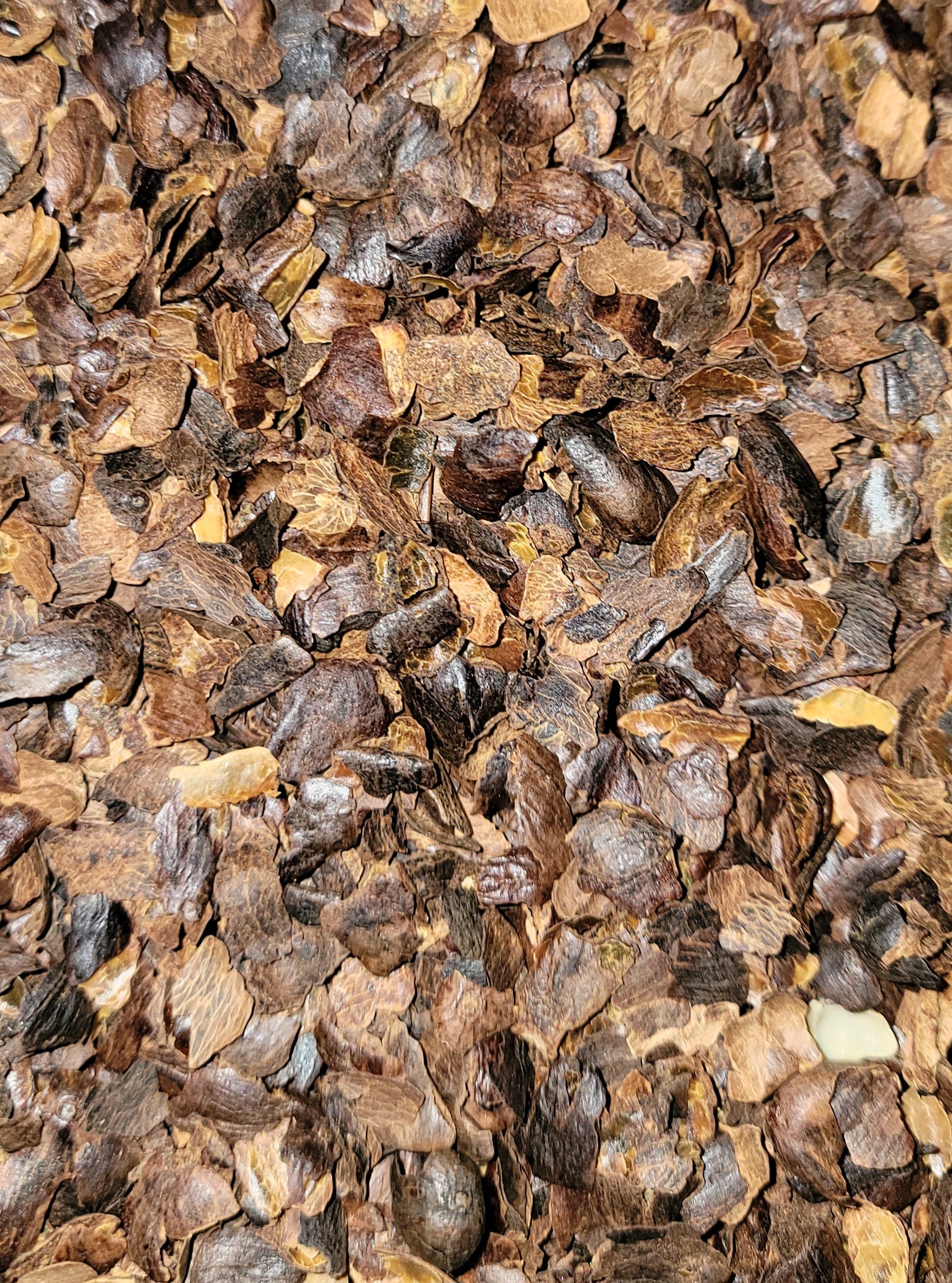 S&W Craft Roasting Cascara coffee cherry Tea | S&W Craft Roasting